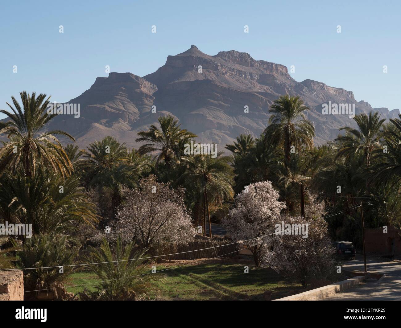 Safran maroc hi-res stock photography and images - Alamy