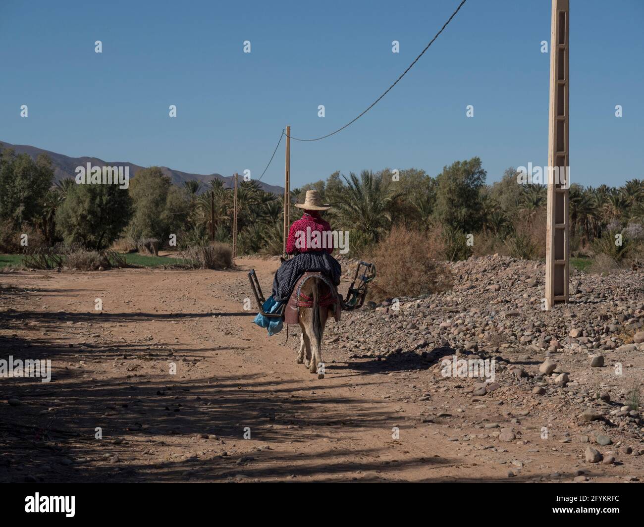 Safran maroc hi-res stock photography and images - Alamy