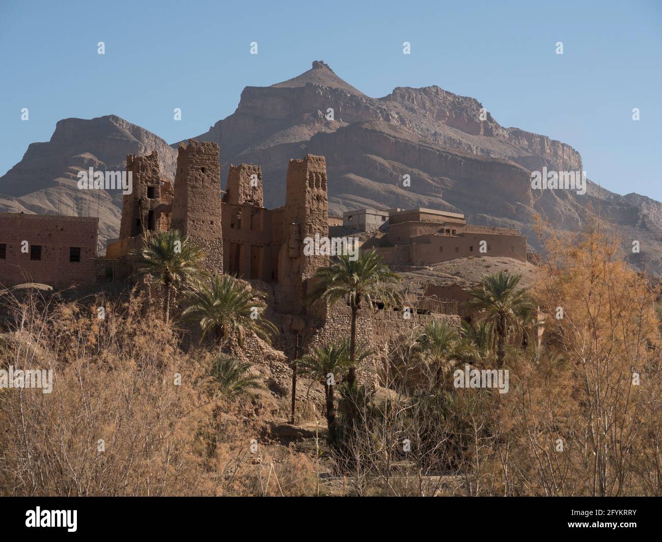 Safran maroc hi-res stock photography and images - Alamy