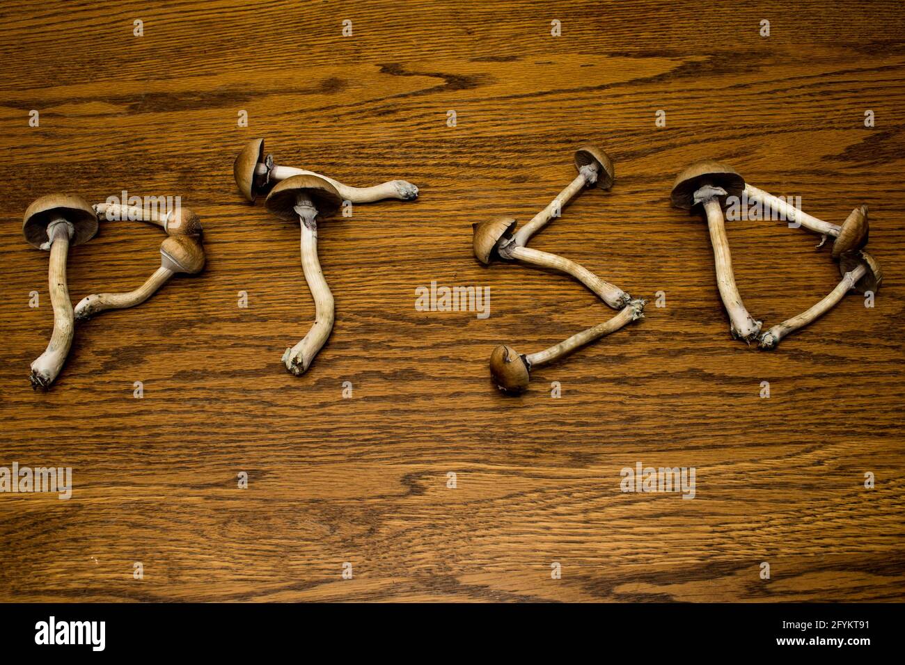 Psychedelic Psilocybin Magic Mushrooms spelling PTSD Stock Photo - Alamy