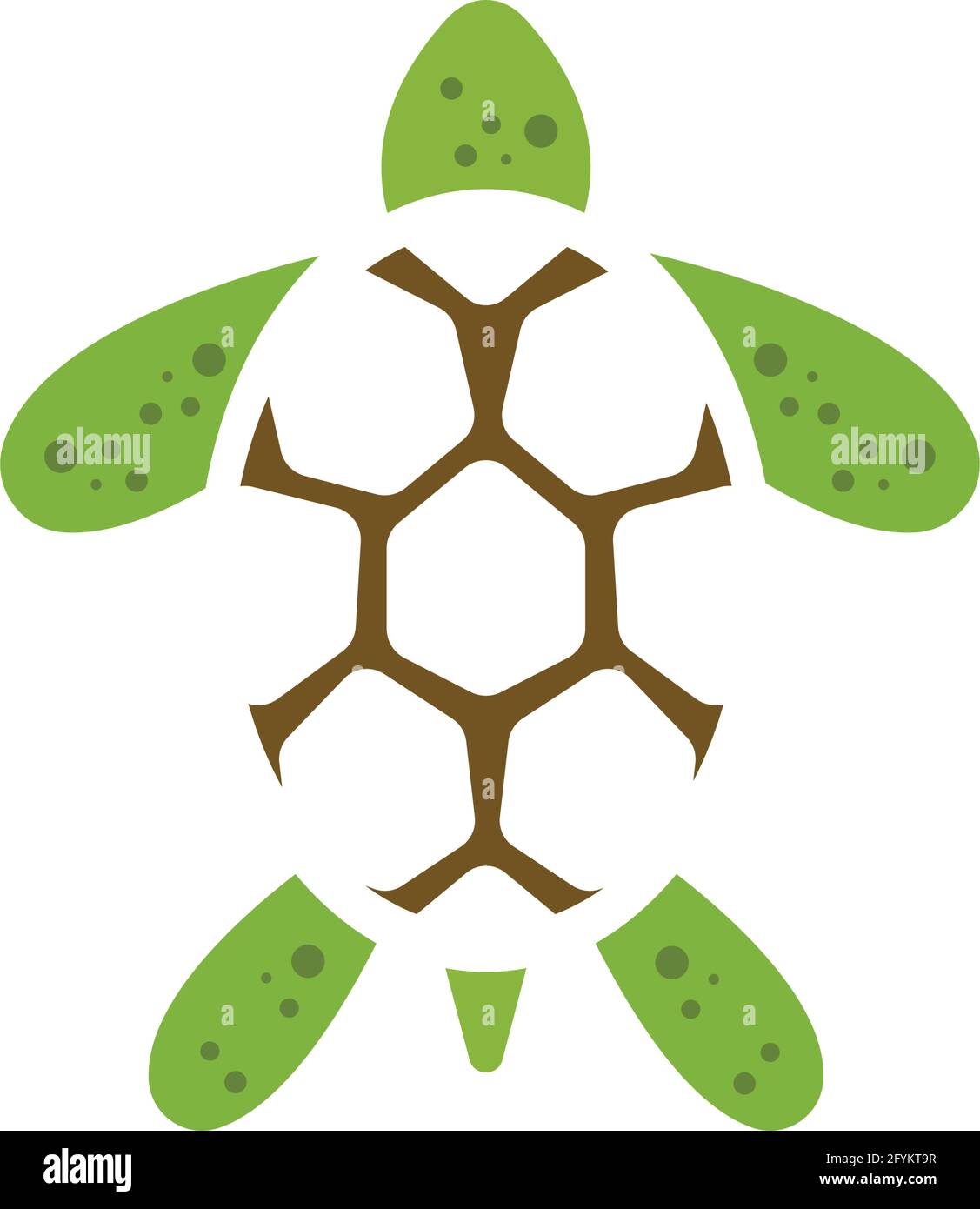 Turtle shell top view Stock Vector Images - Alamy