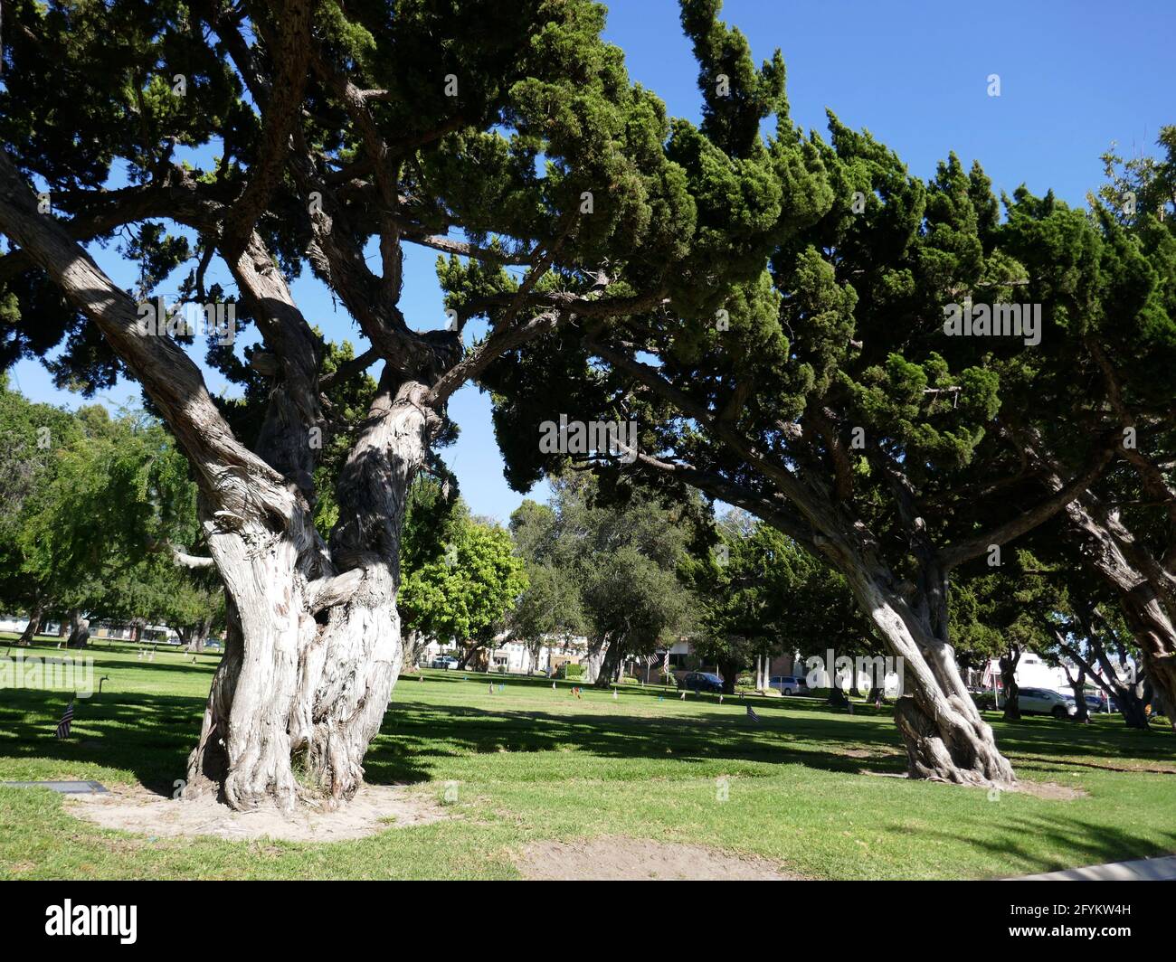 Westminster, California, USA 27th May 2021 A general view of atmosphere ...