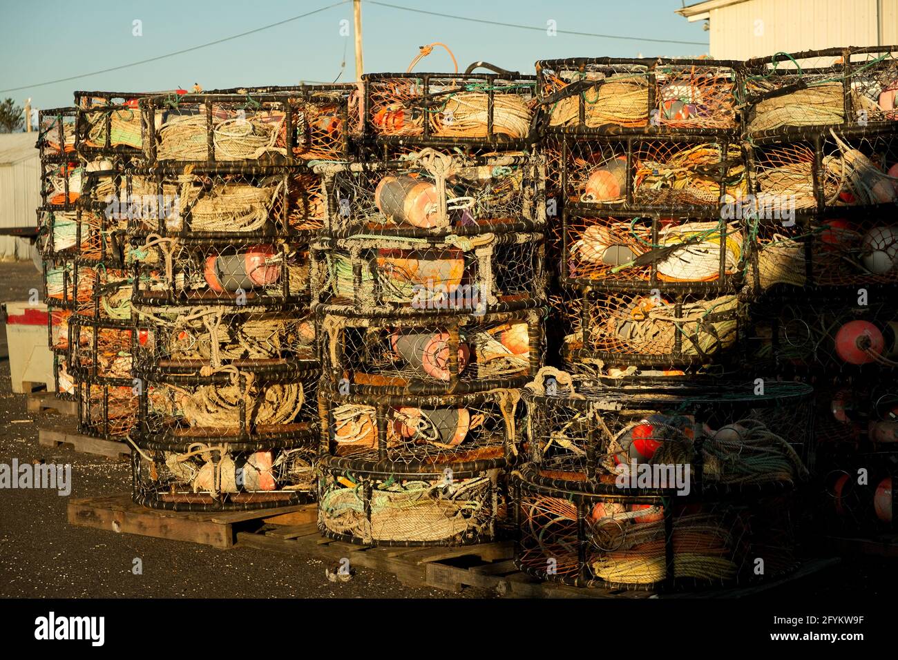 Stored crab and lobster pots, or traps, at the Blaine docks in ...