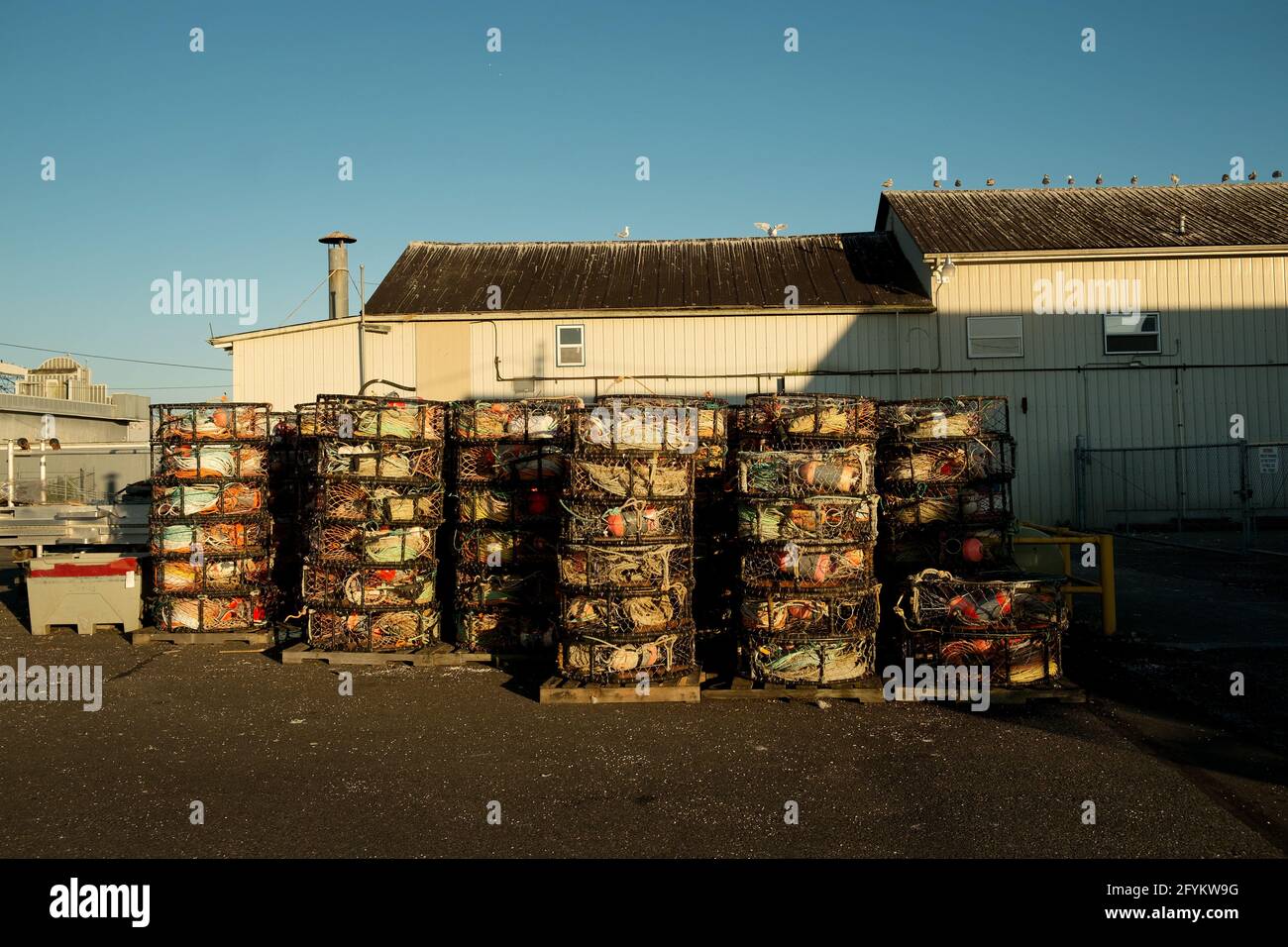 Stored crab and lobster pots, or traps, at the Blaine docks in ...