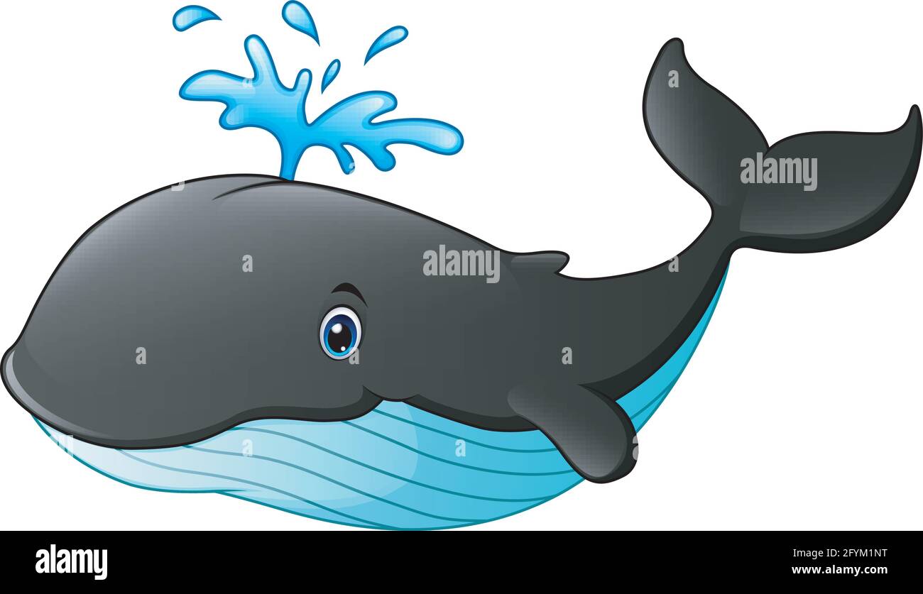 Cute whale cartoon isolated on white background Stock Vector Image ...