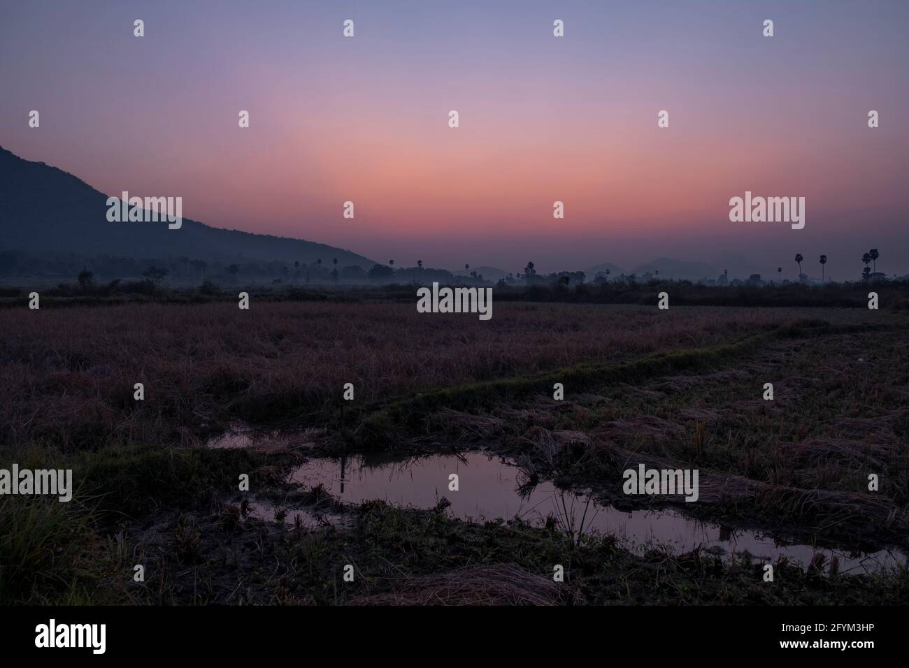 Landscape of rural odisha hi-res stock photography and images - Alamy