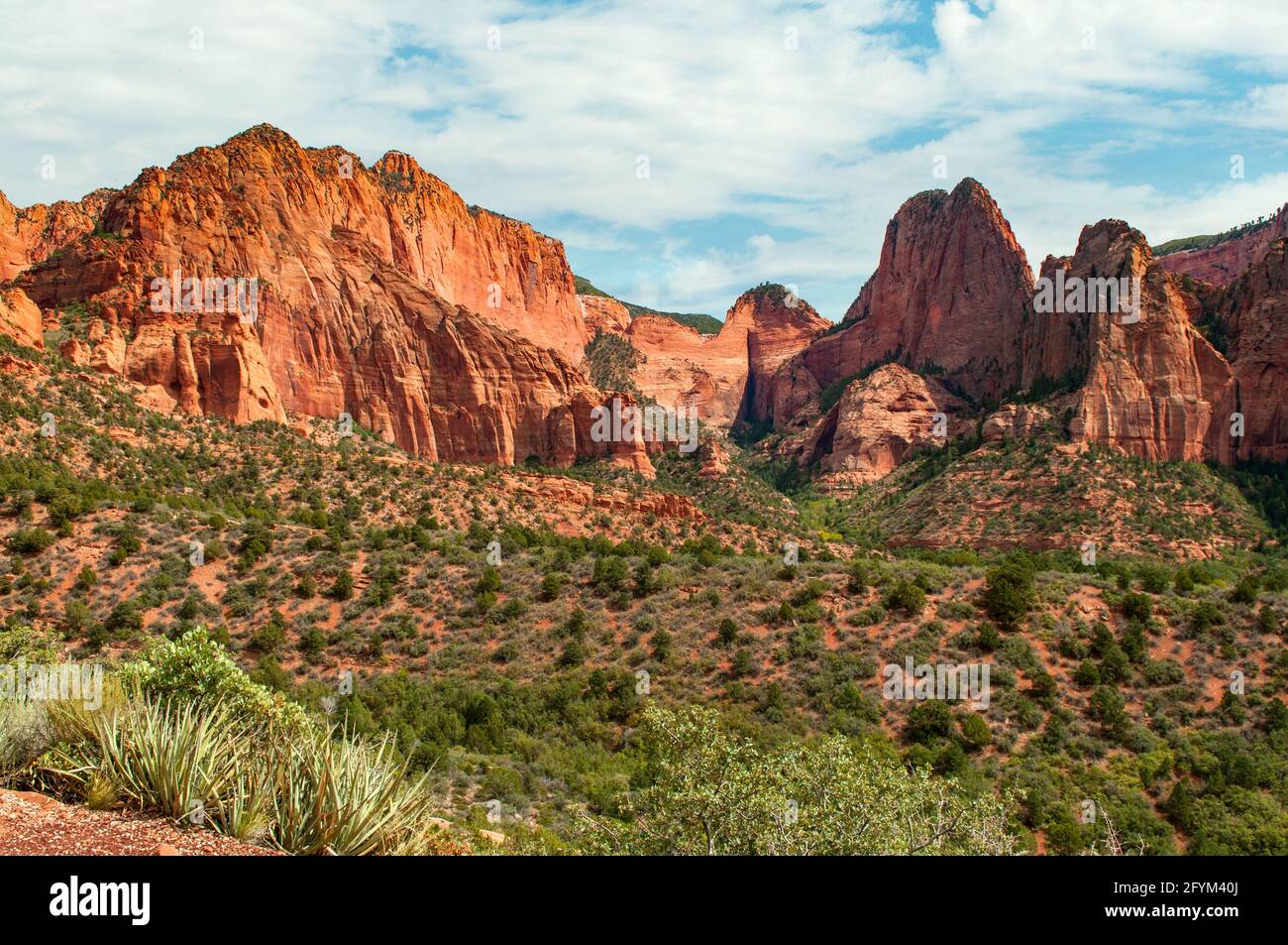 Kolob hi-res stock photography and images - Alamy