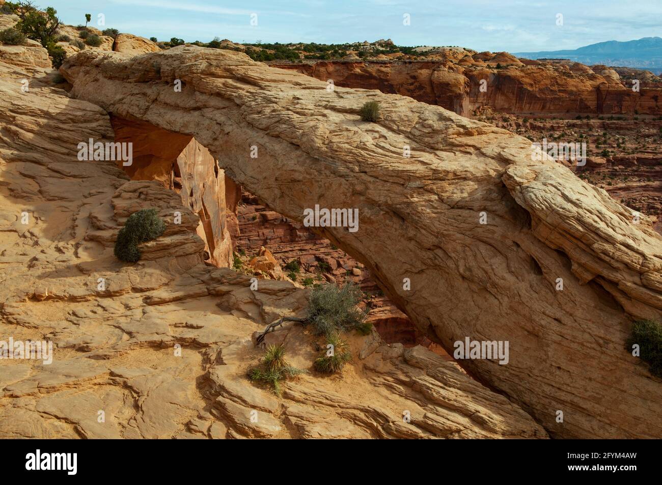 Usa Mesa Arch Canyonlands