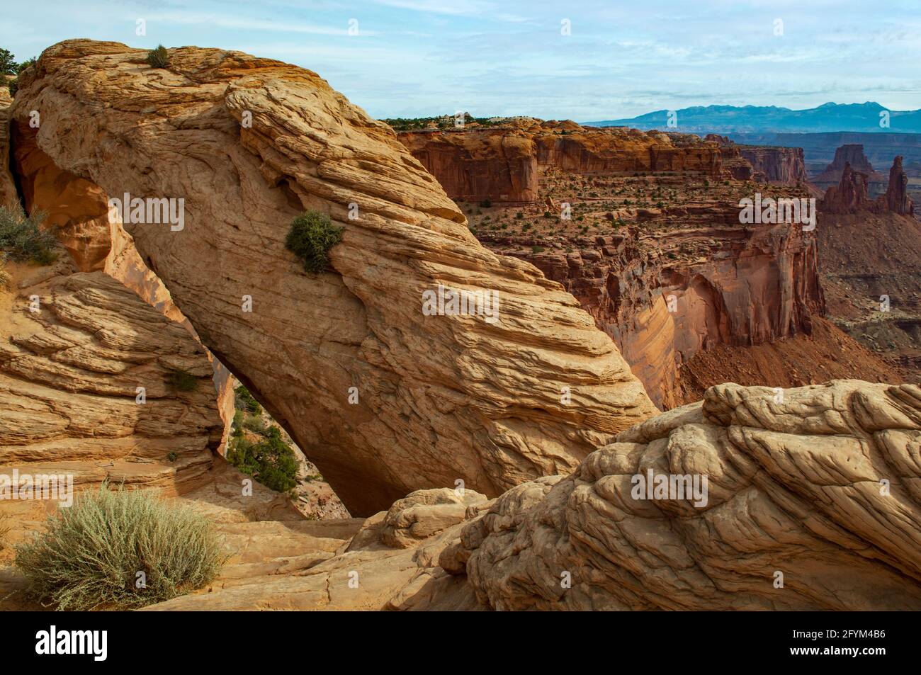 Mesa Arch, Canyonlands NP, Utah, USA Stock Photo - Alamy