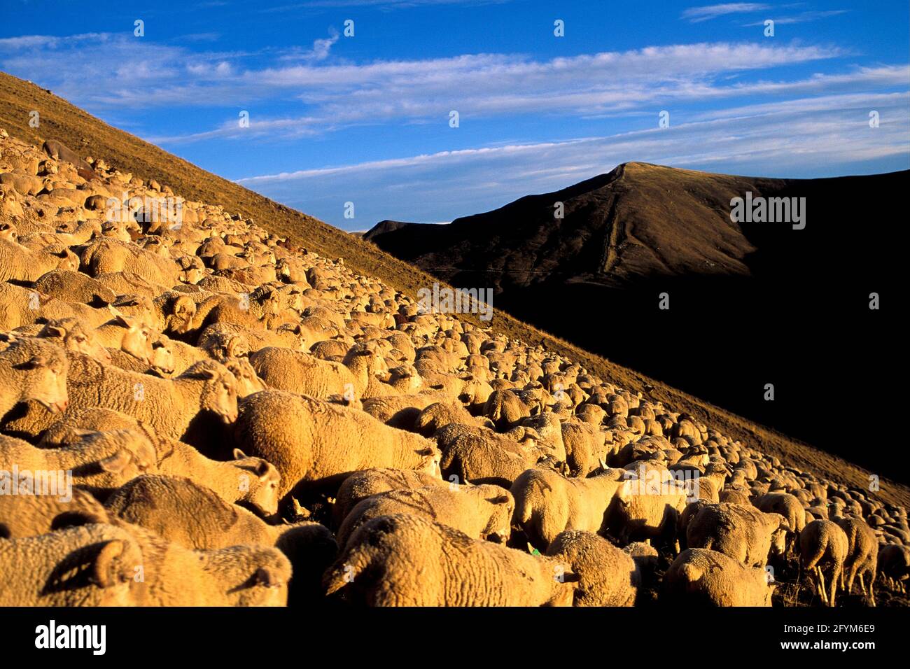 Col du allos hi-res stock photography and images - Alamy