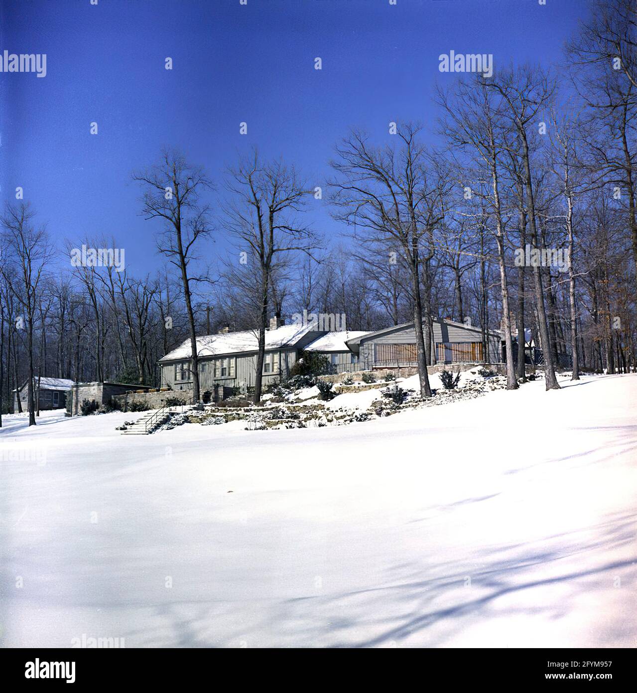 David lodge hi-res stock photography and images - Alamy