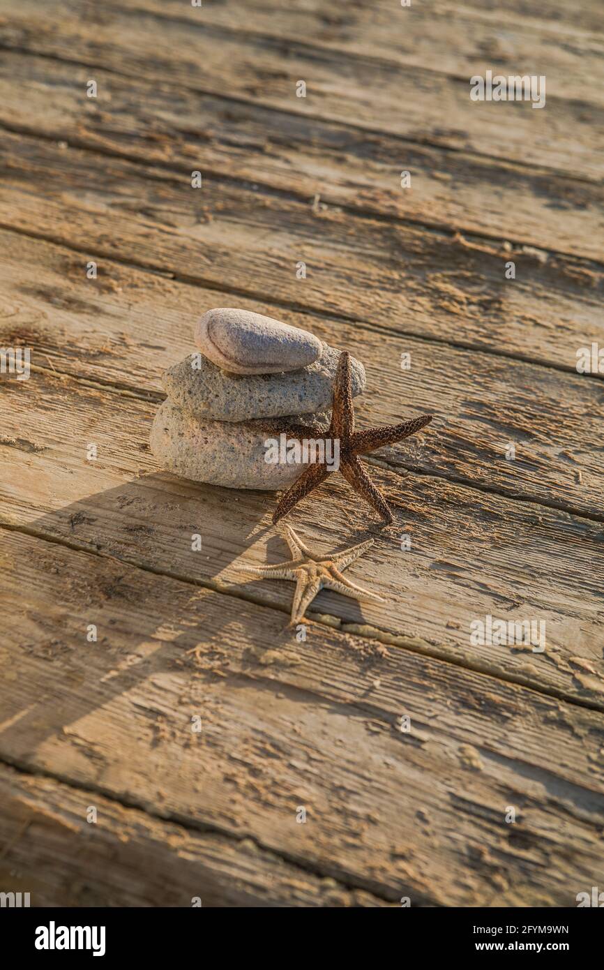 Marine items on wooden boat background. Sea objects on aged boat ...
