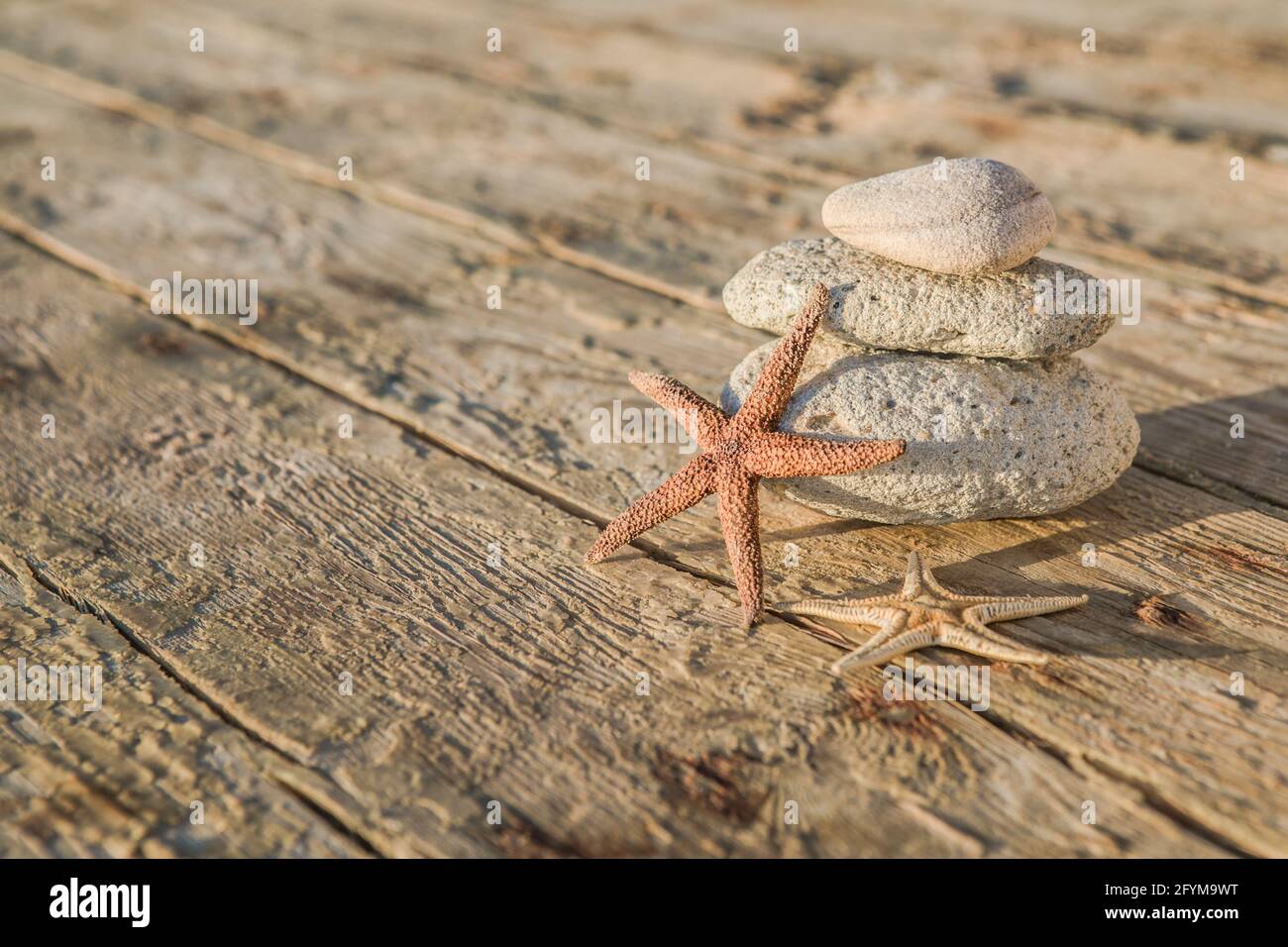 Marine items on wooden boat background. Sea objects on aged boat ...
