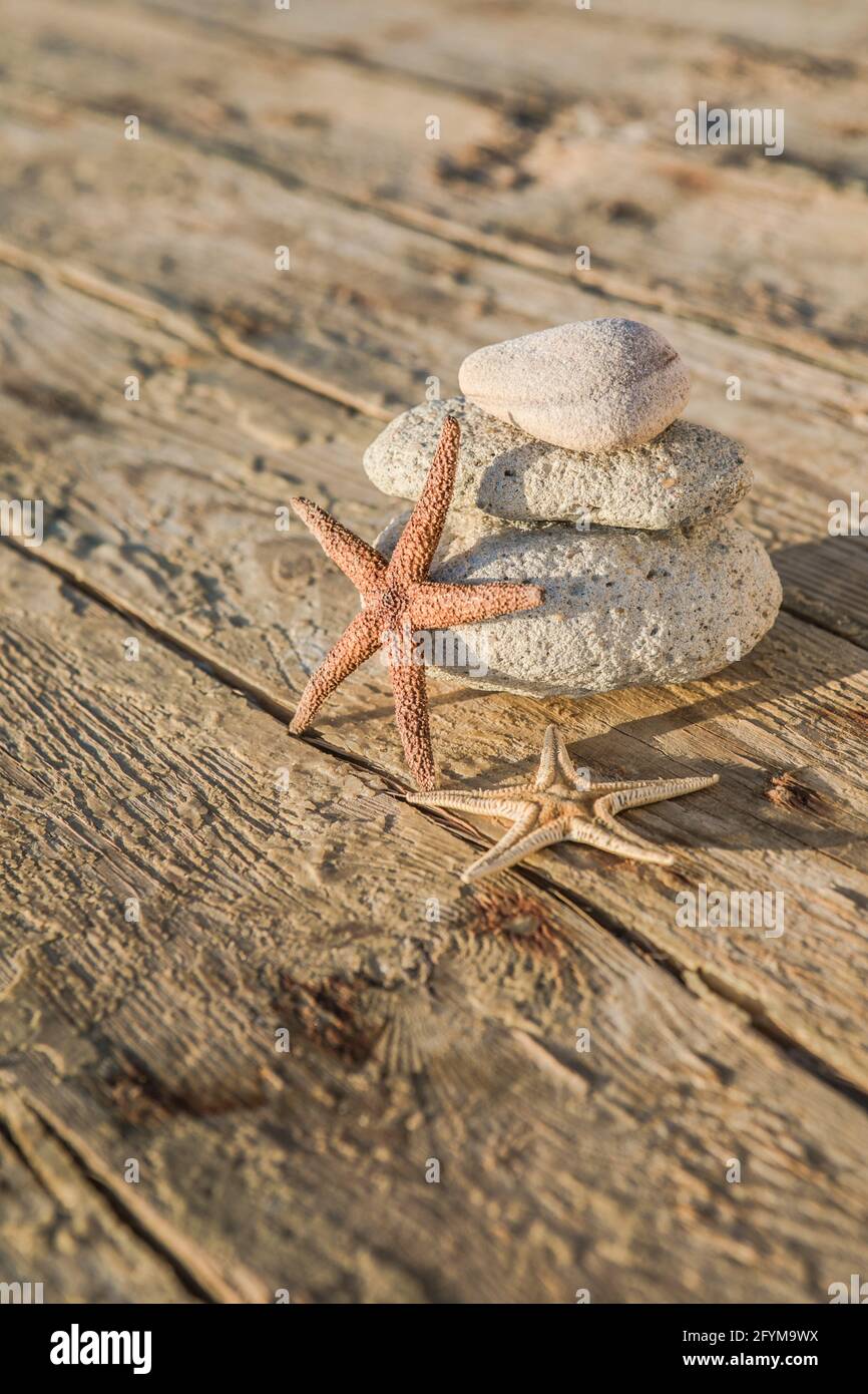 Marine items on wooden boat background. Sea objects on aged boat ...