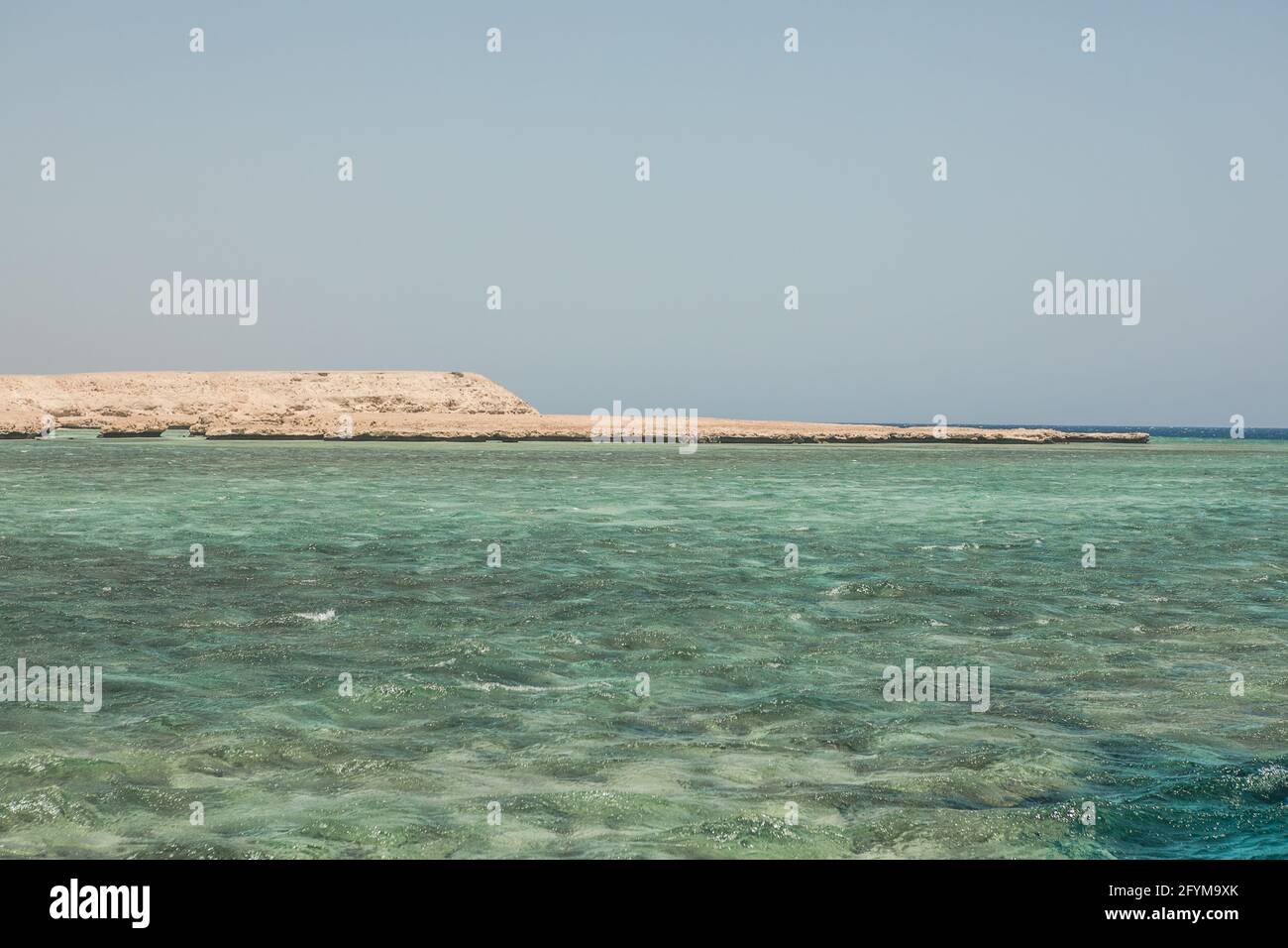 Coral reef in blue water of Red Sea Stock Photo - Alamy