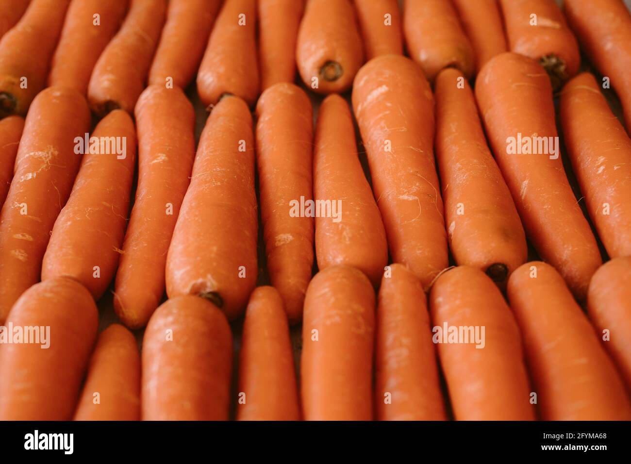 Organic carrots as texture and background. Top view. Organic and ...