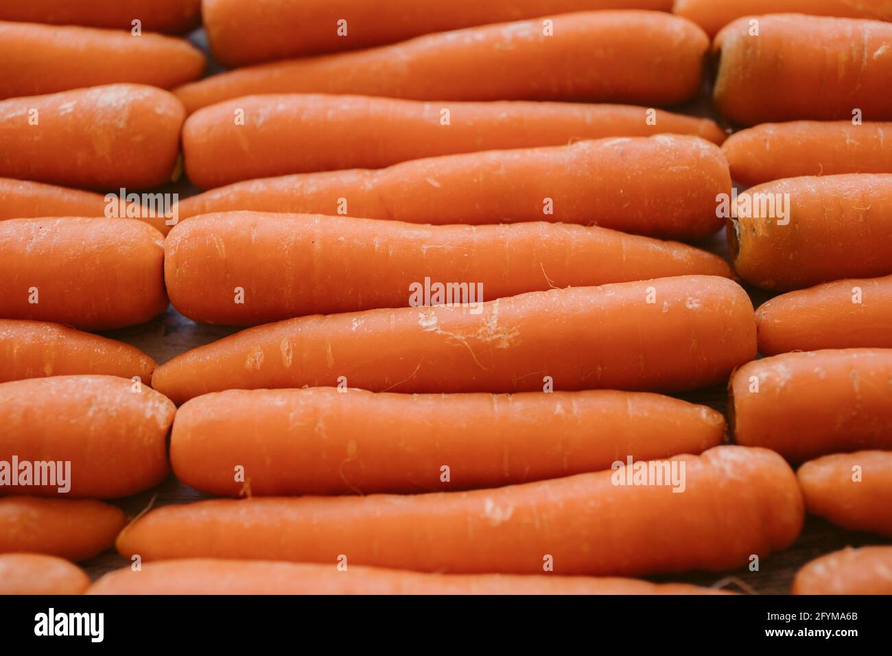 Organic carrots as texture and background. Top view. Organic and ...
