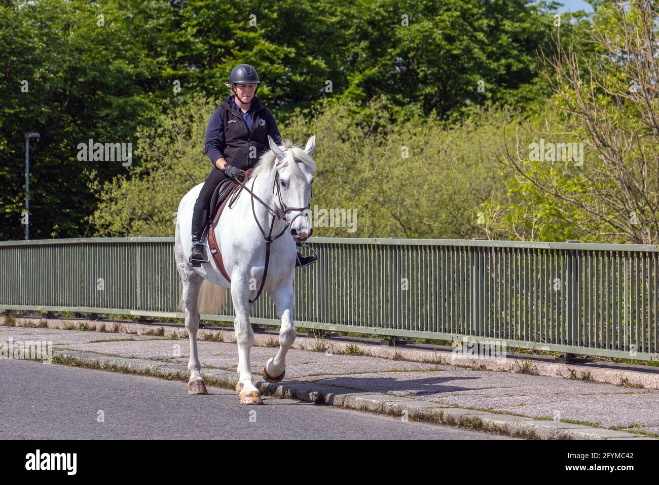 Uk horse rider road motorway hi-res stock photography and images - Alamy