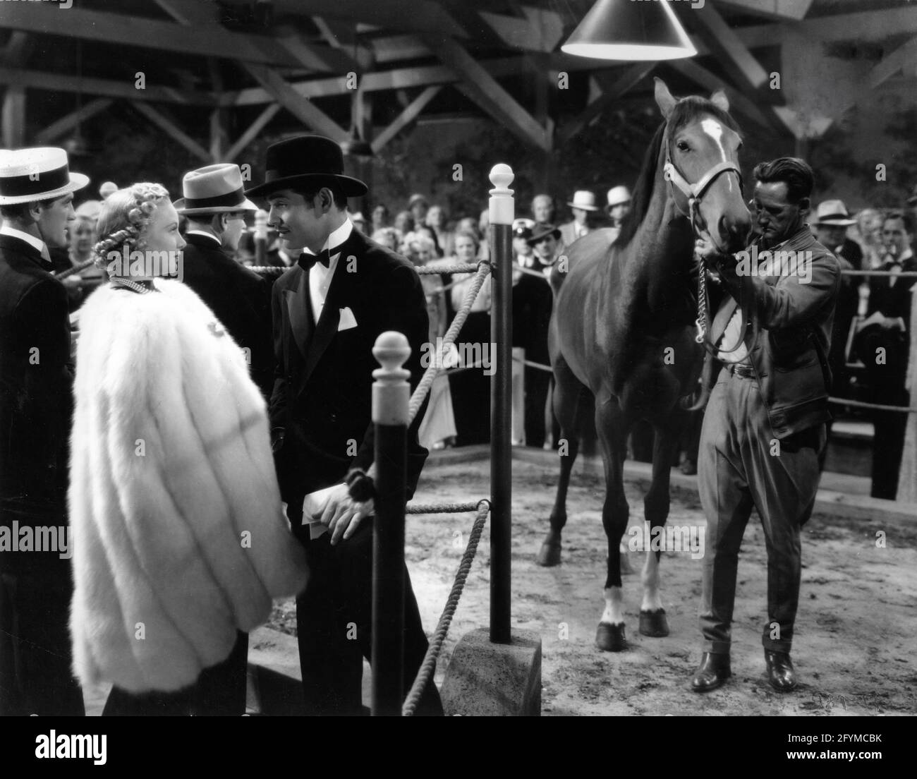 Una merkel hi-res stock photography and images - Alamy