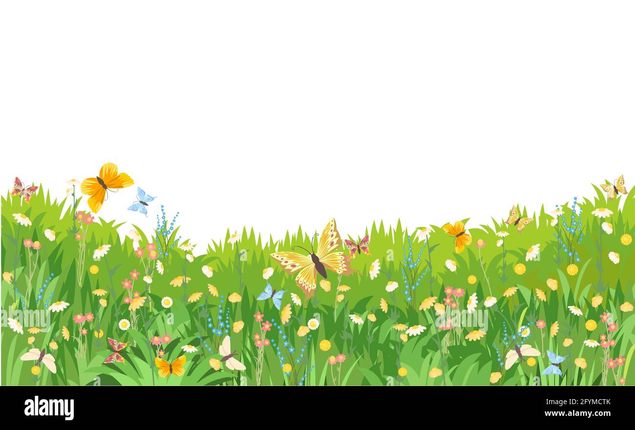 Meadow with wildflowers. Grass close-up. Beautiful green rural ...