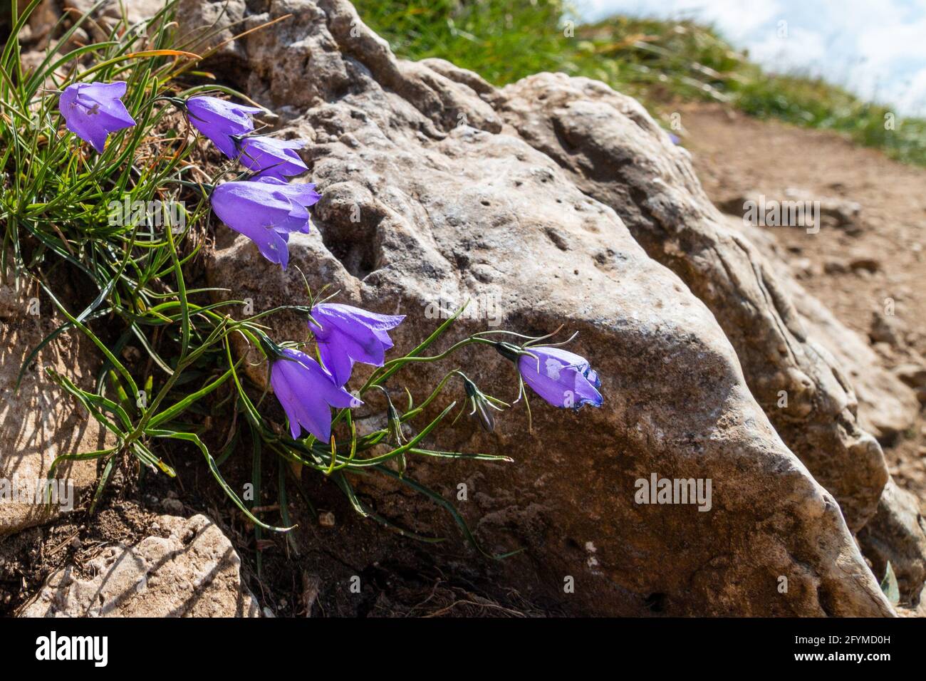 Views of the Dolomites at the Sella Pass in Val Gardena, Trentino Alto ...
