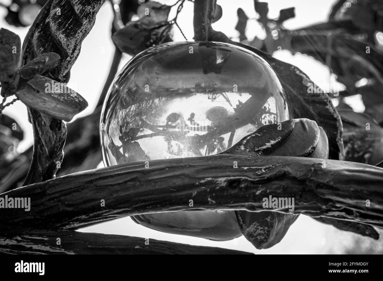 Artificial translucent apple made from amber. Black and white Stock ...