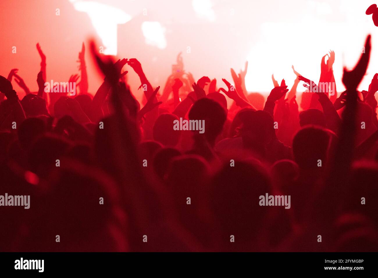Concert crowd with raised arms applauding and partying at music ...