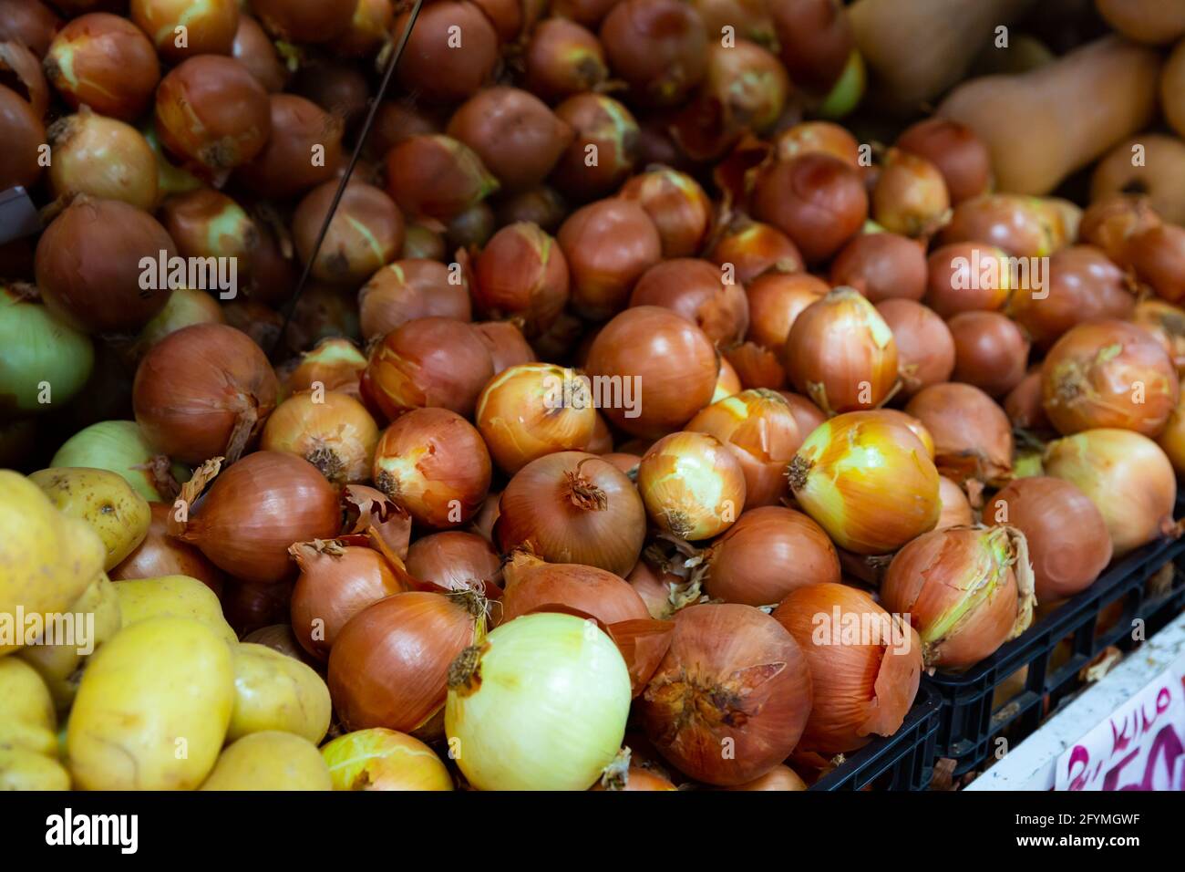Various onion varieties hi-res stock photography and images - Alamy