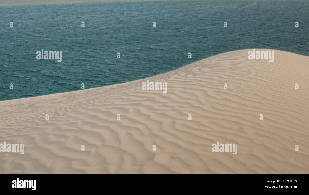 sand ripple effect in the desert sand dunes in Qatar. selective focus ...