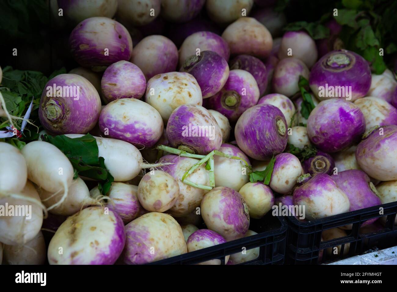 Pile of turnips at the farmers market Stock Photo - Alamy