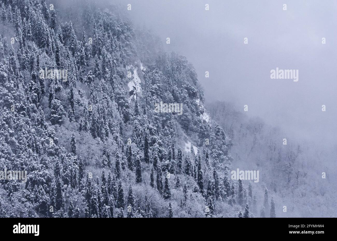 Landscape at Uttarakhand, India Stock Photo - Alamy
