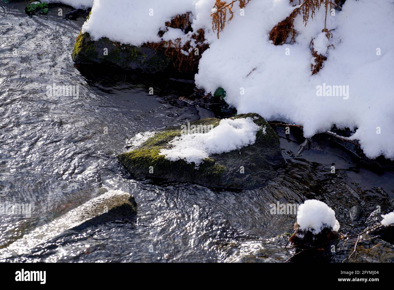 Rough stone covered with moss and snow in the flowing winter river ...