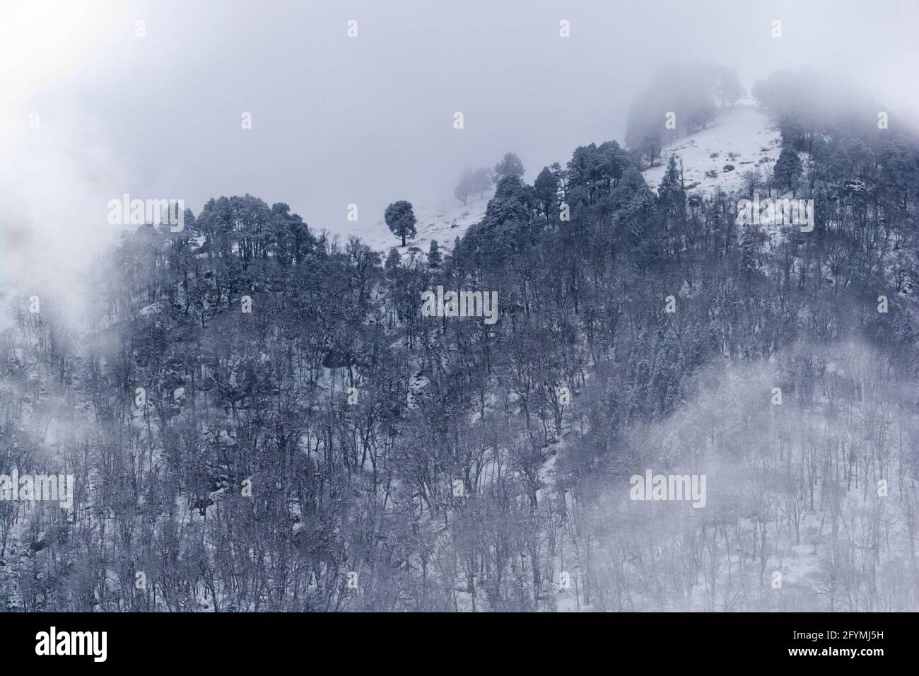 Landscape at Uttarakhand, India Stock Photo - Alamy