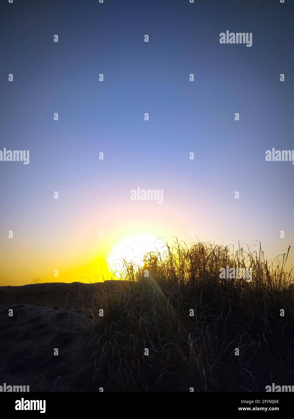 Vertical shot of a beautiful sunrise with a clear sky Stock Photo - Alamy