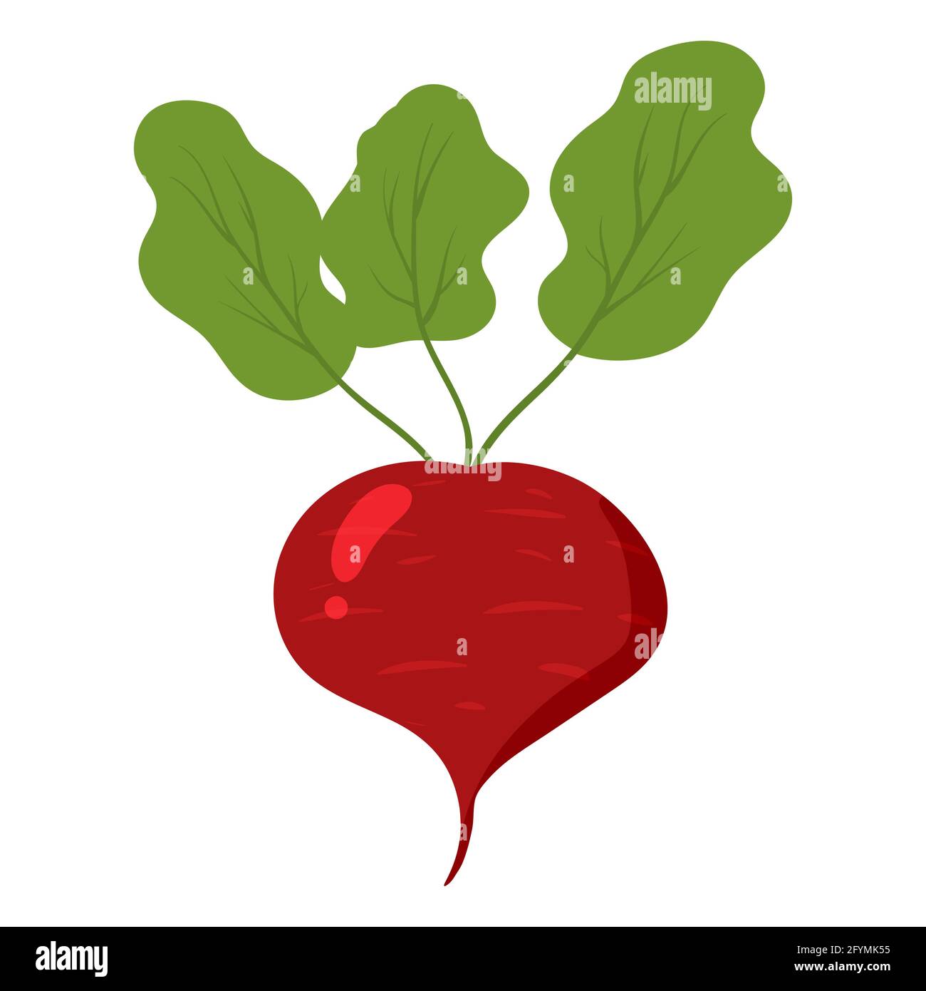 Beetroot healthy organic nutrition product. Vector cartoon flat trendy ...