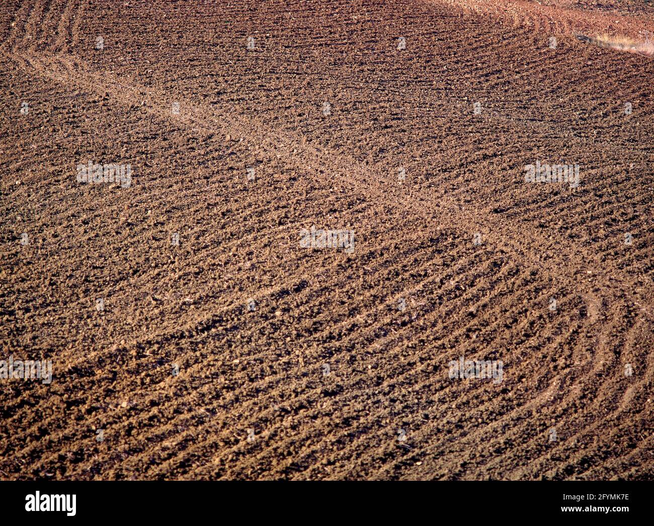 En barbecho hi-res stock photography and images - Alamy