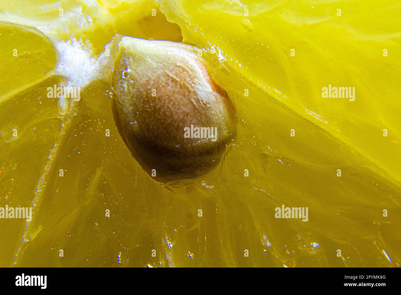 Lemon closeup, lemon texture background, Lemon bone Stock Photo - Alamy