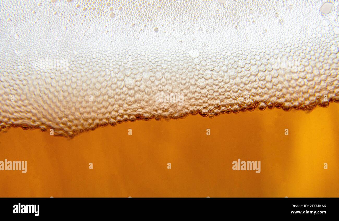 Beer foam enlarged, closeup beer foam, light beer texture Stock Photo ...
