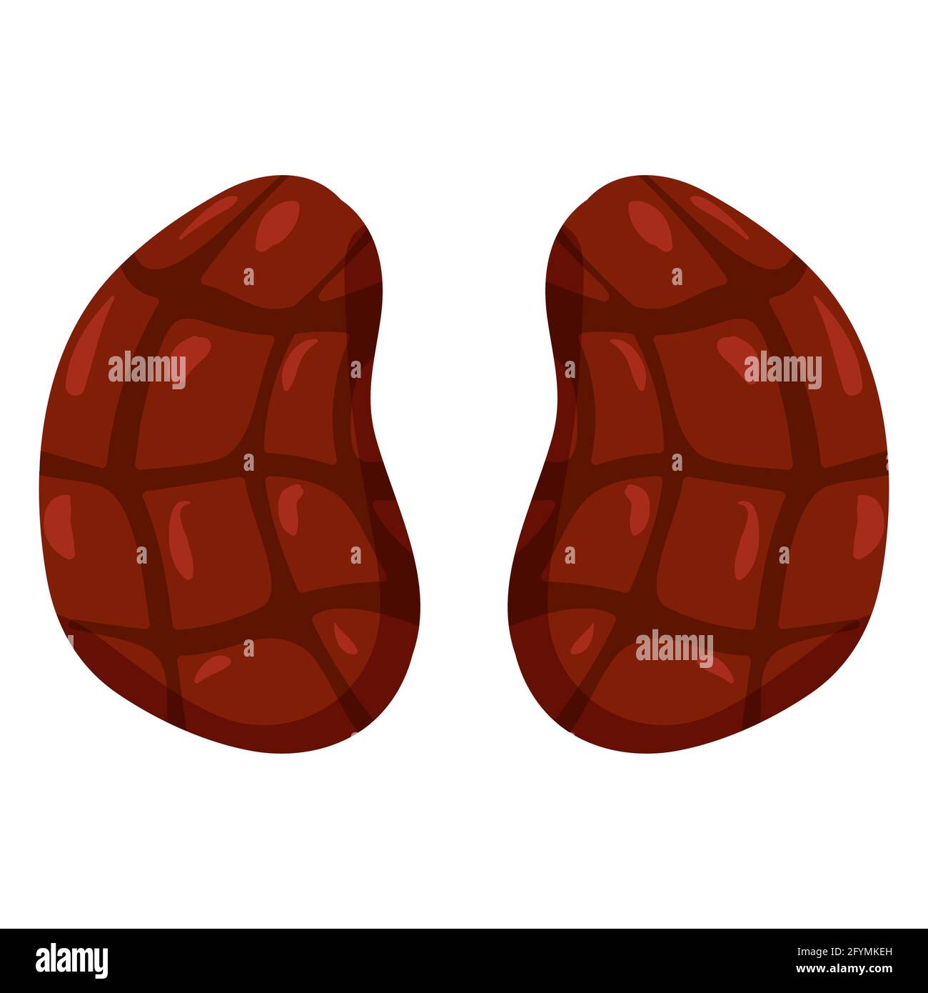 Kidney meat, beef or pork, natural healthy organic nutrition product ...