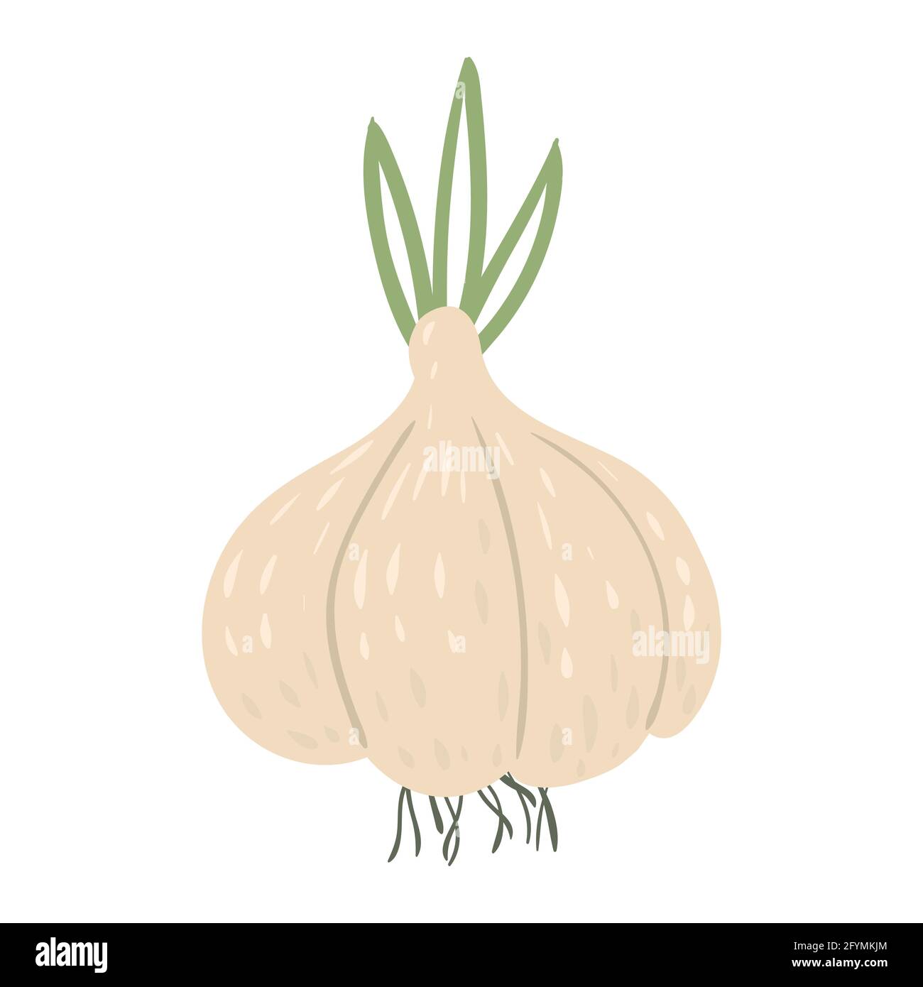 Garlicl Natural Healthy Organic Nutrition Product Vector Doodle