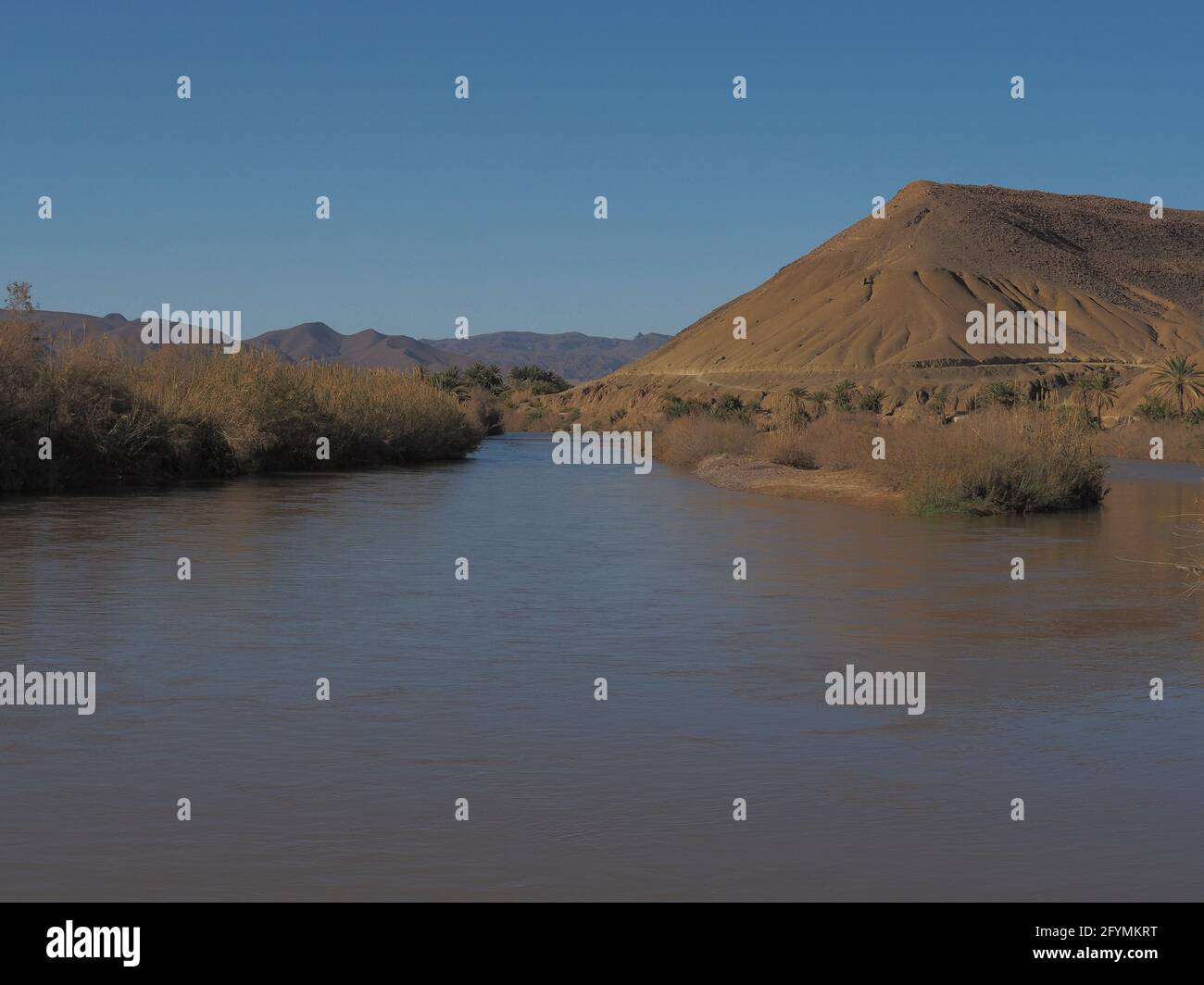 Safran maroc hi-res stock photography and images - Alamy