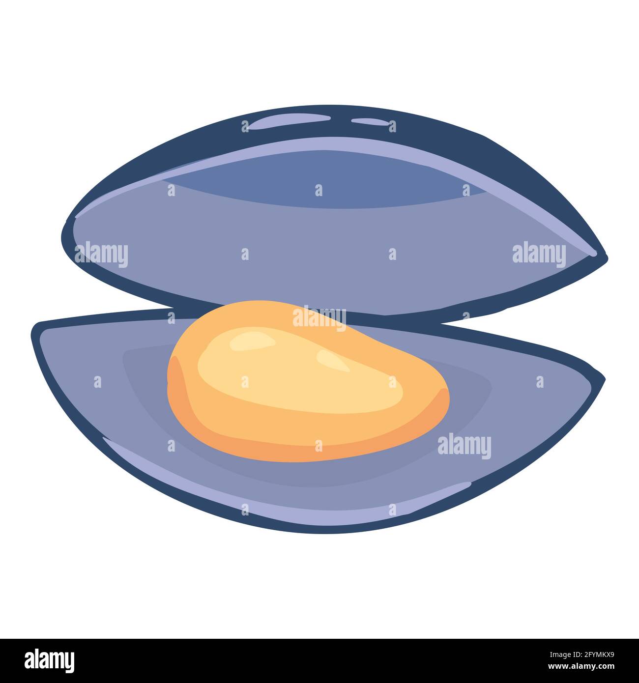 Mussel Natural Healthy Organic Nutrition Product Seafood Vector