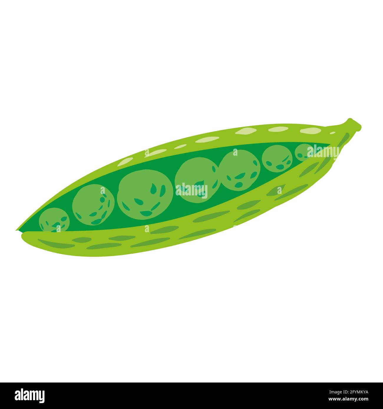 Green pea natural healthy organic nutrition product, open. Vector ...