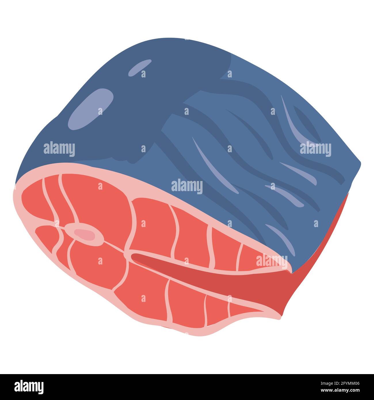 Salmon Piece Slice Natural Healthy Organic Nutrition Product Vector