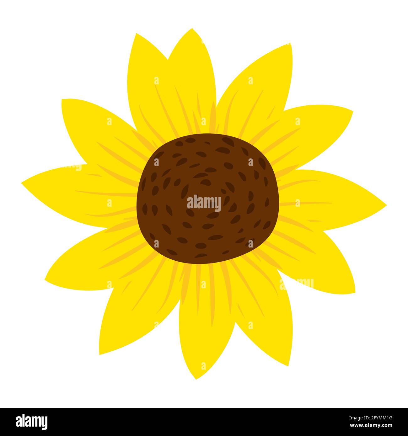 Sunflower Flower Natural Healthy Organic Nutrition Product Vector