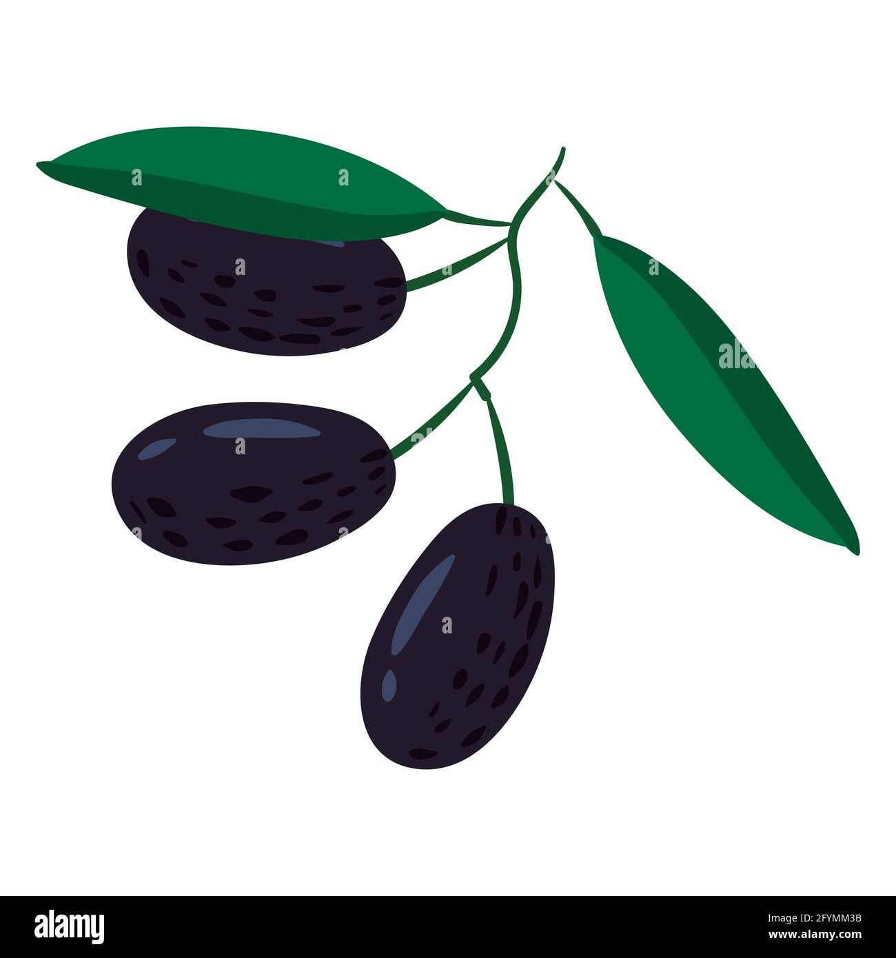 Olive Branch Natural Healthy Organic Nutrition Product Vector Doodle