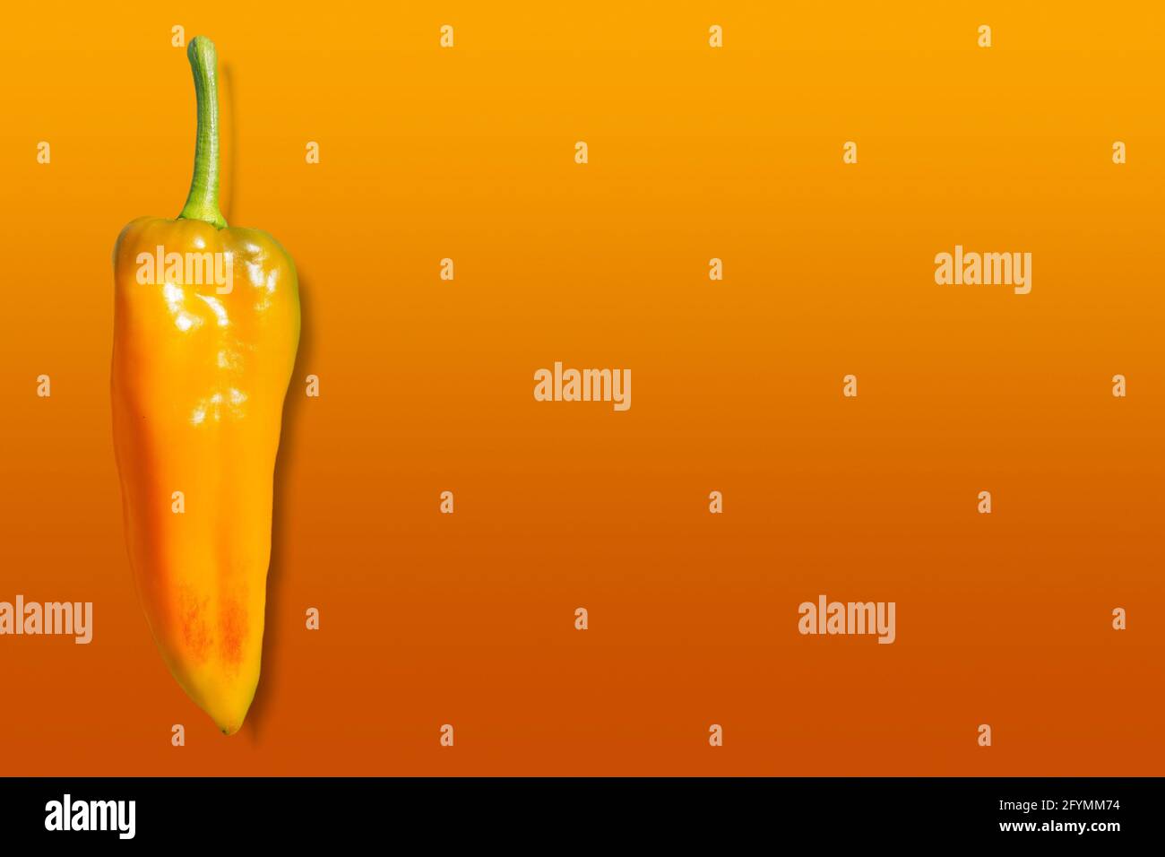 yellow pepper over matching colour gradient background with copy space ...