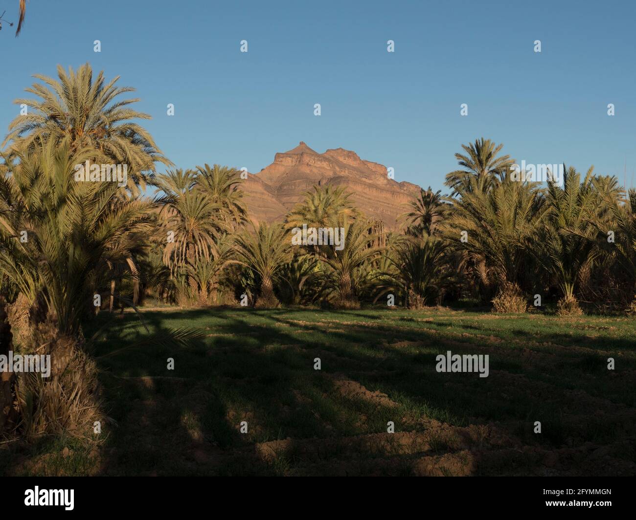 Morocco draa valley agdz view hi-res stock photography and images - Alamy