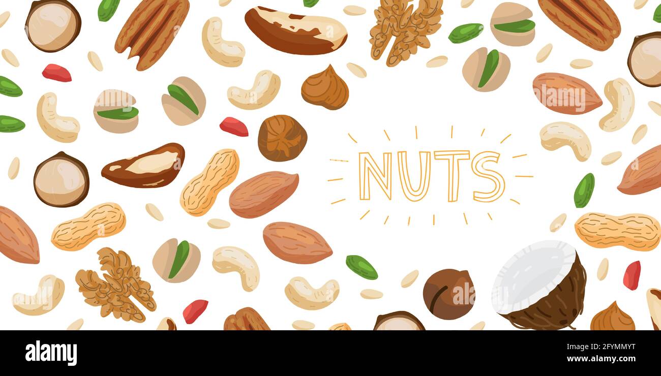 Different types of nuts Stock Vector Images - Alamy