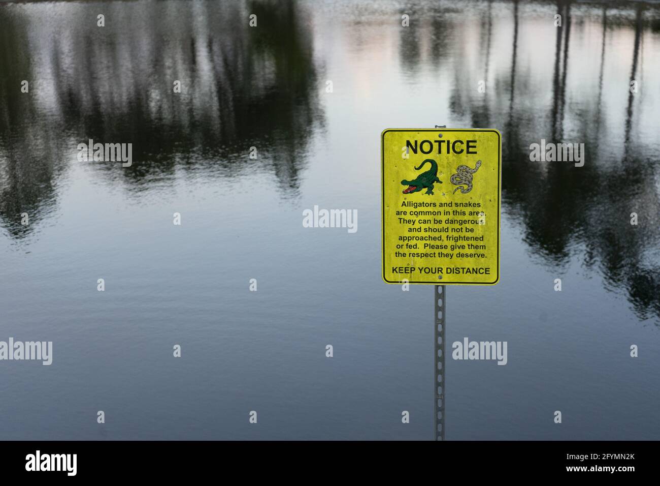 Warning sign in front of a lake, instructing not to approach or feed ...